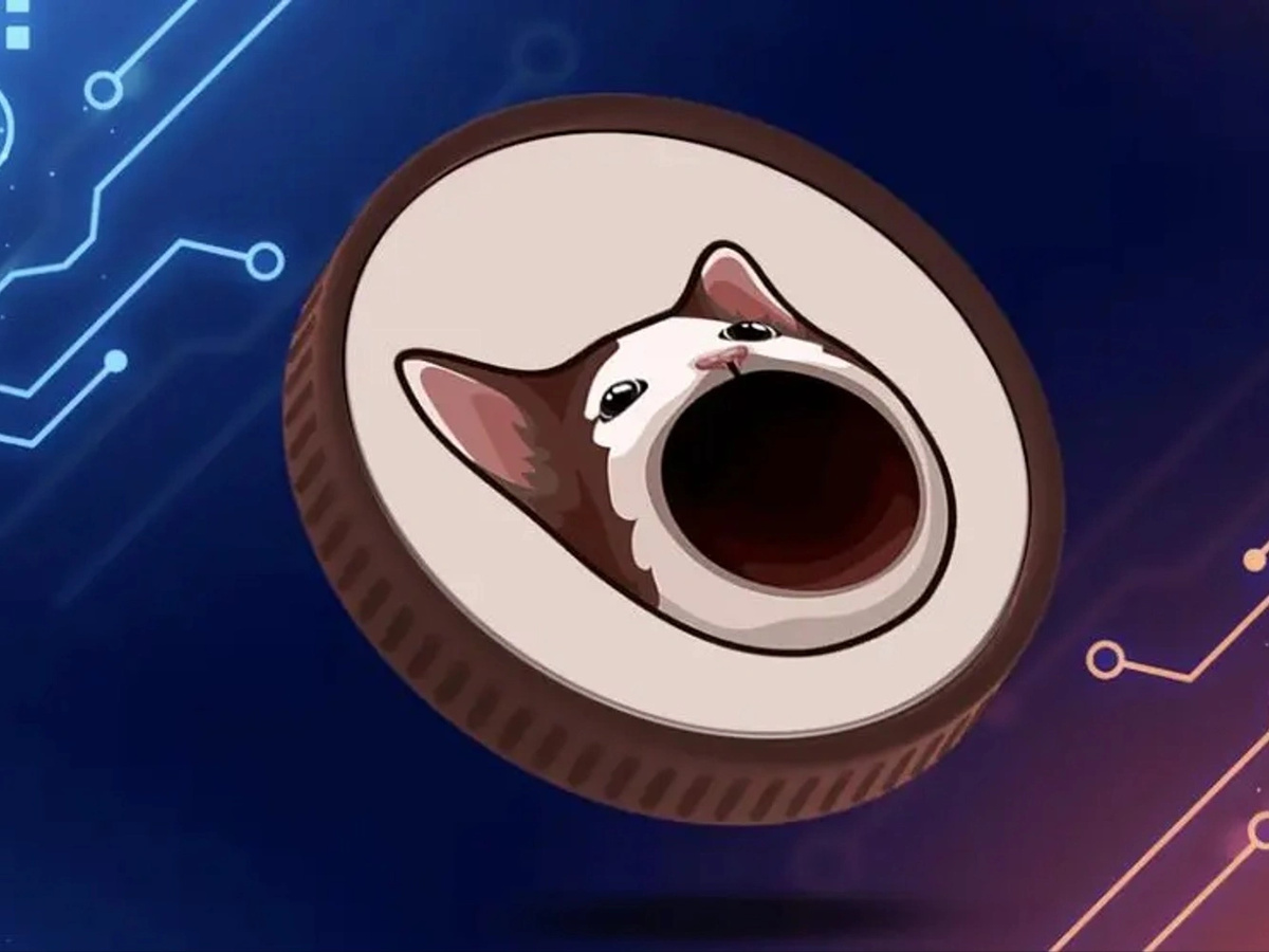 Popcat - Cryptocurrencies | IQ.wiki