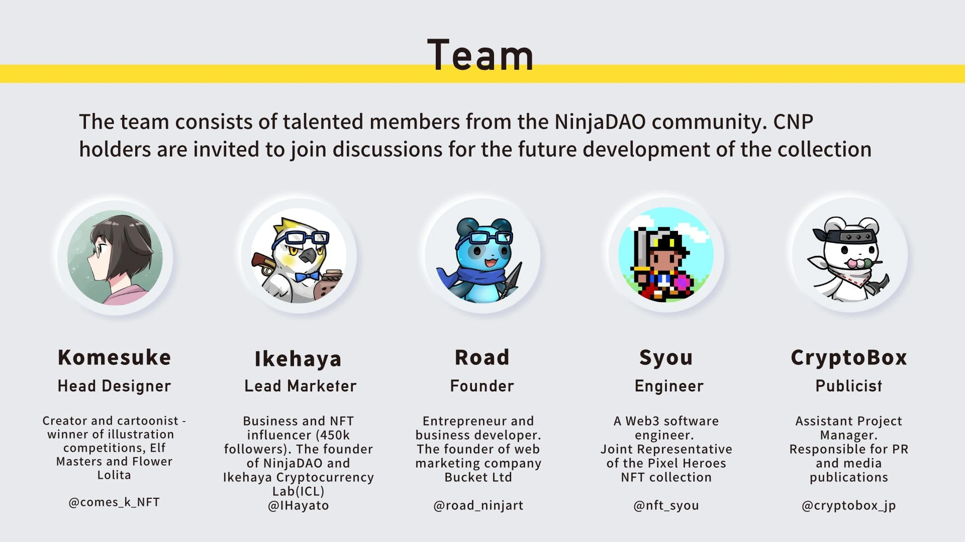CryptoNinja Partners - NFTs | IQ.wiki