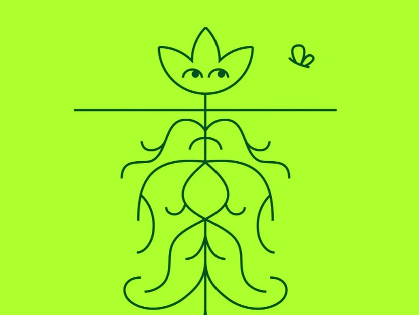 Lens Protocol - Dapps | IQ.wiki