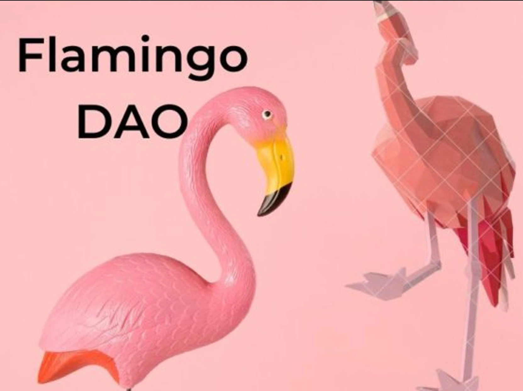 Flamingo DAO - DAOs | IQ.wiki