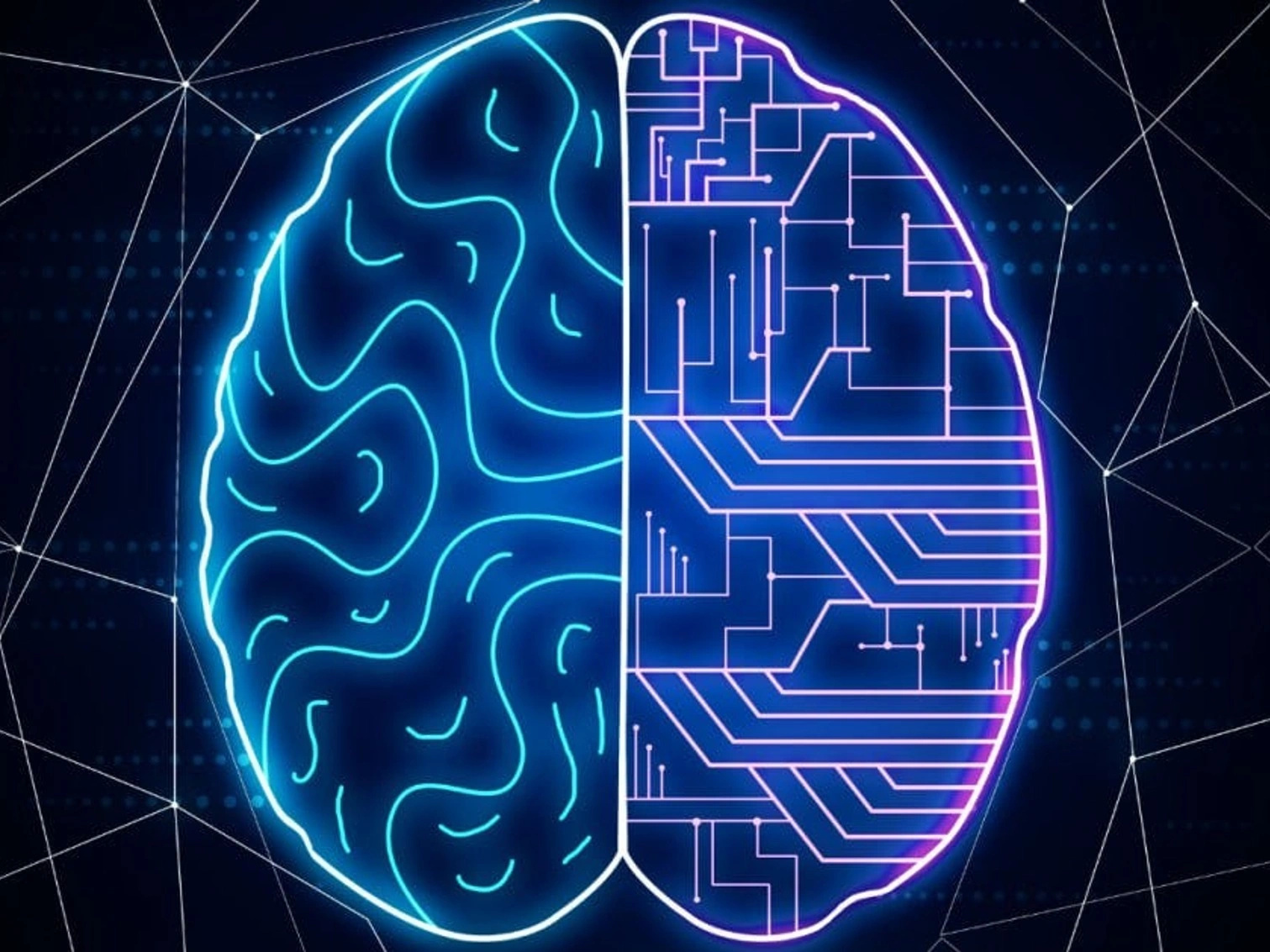 IQ.wiki | Largest Blockchain & Crypto Encyclopedia | IQ.wiki